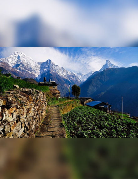 Panchase Hill Trek from Pokhara-Annapurna Region